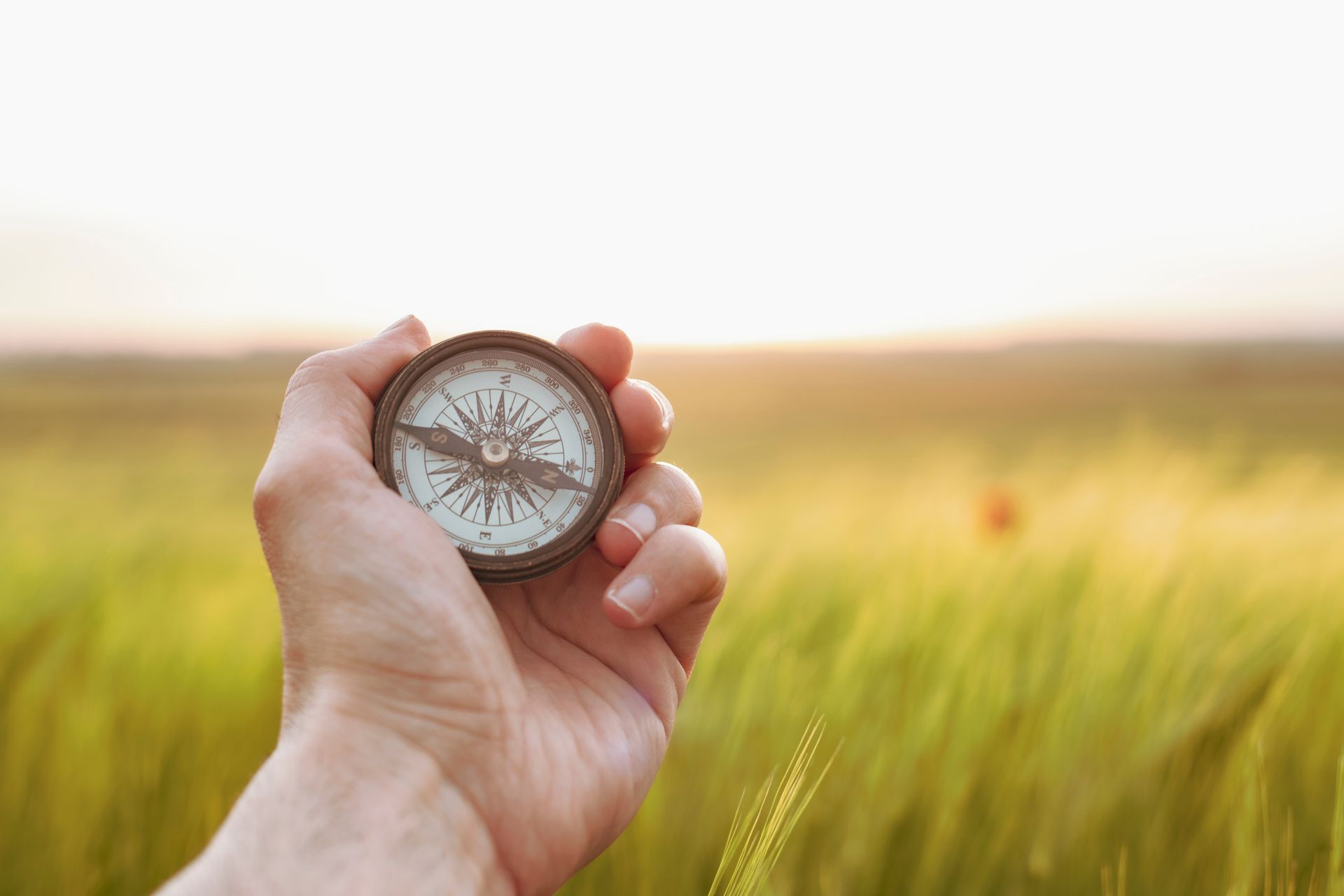 Certico, les certifications environnementales en Champagne