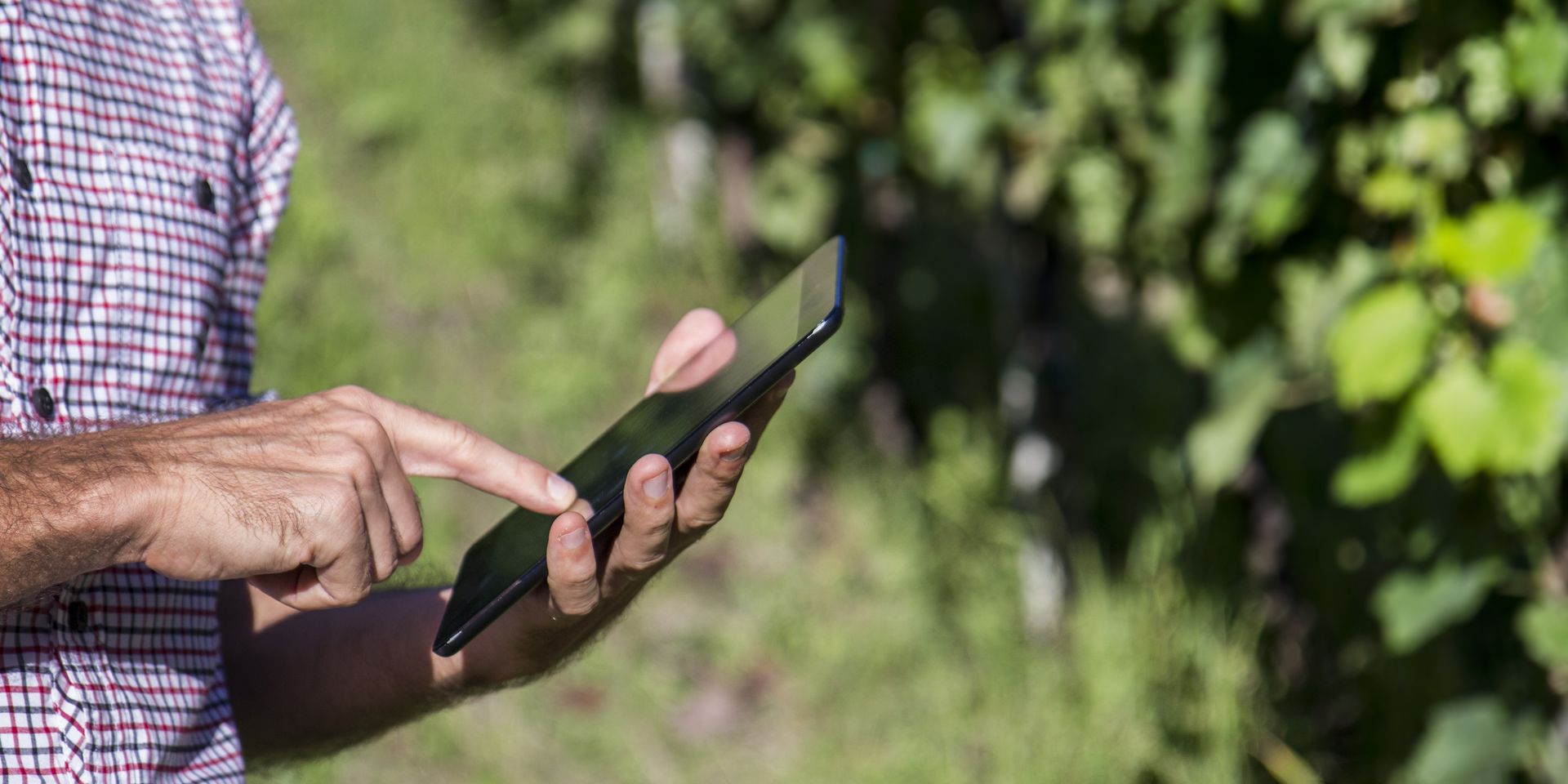 Certico, partenaire des vignerons en Champagne
